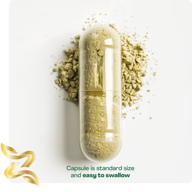 Ultimate Corti-Soothe Balance: Stress Relief, Calm, and Cognitive Boos ...